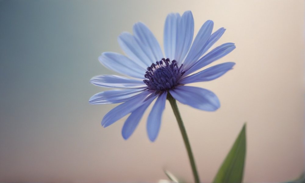 National Depression Screening Day October 8, 2026 - Raising awareness ...